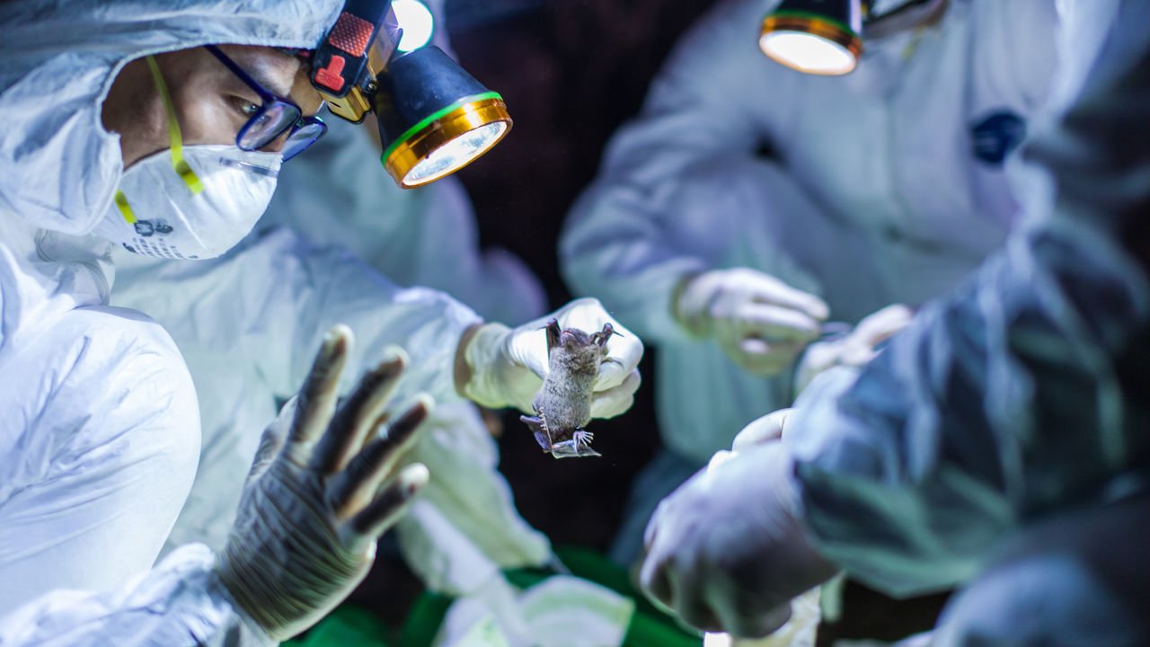Coronavirus: How the Corona Test Is Done? - FrontLines Media